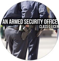 Integrity Security Training School